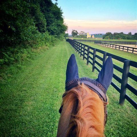 Salamander Middleburg | Five Star Resort and Spa in Middleburg, VA