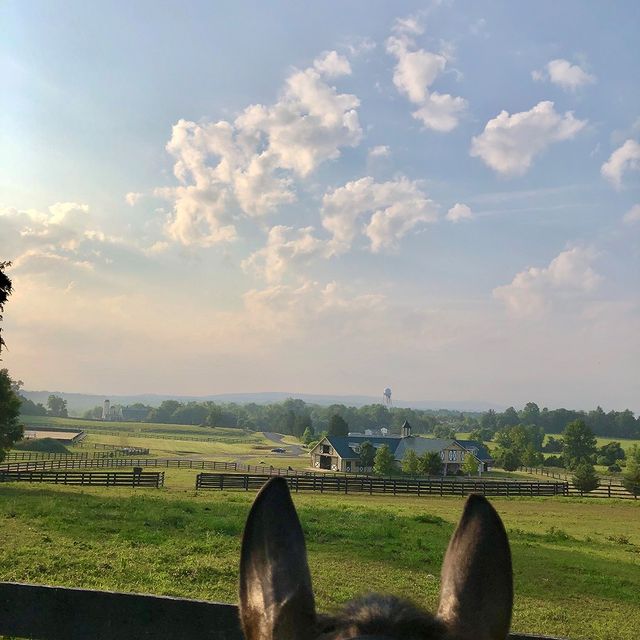 Salamander Middleburg | Five Star Resort and Spa in Middleburg, VA